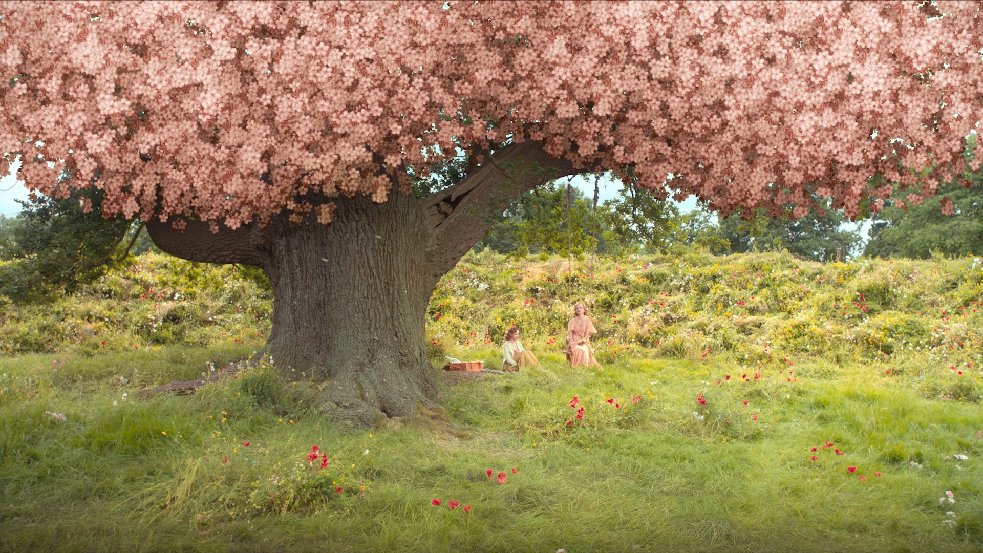 The Secret Garden 2020 - DVDBay